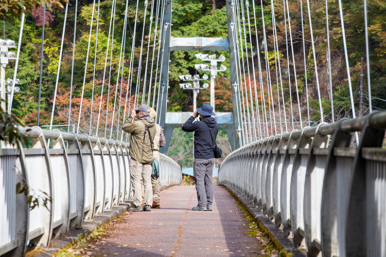Bird Watching | DIAMOND ROUTE JAPAN